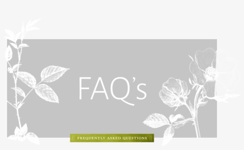 Faqs - Faq Transparent PNG - 1000x600 - Free Download on NicePNG