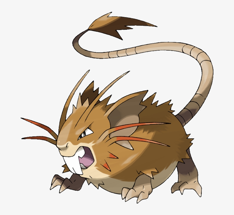 Mega Raticate Transparent PNG - 800x746 - Free Download on NicePNG