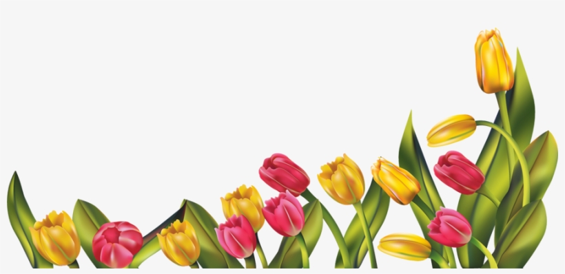 Spring Border Clipart - Good Morning And Happy Easter Transparent PNG ...