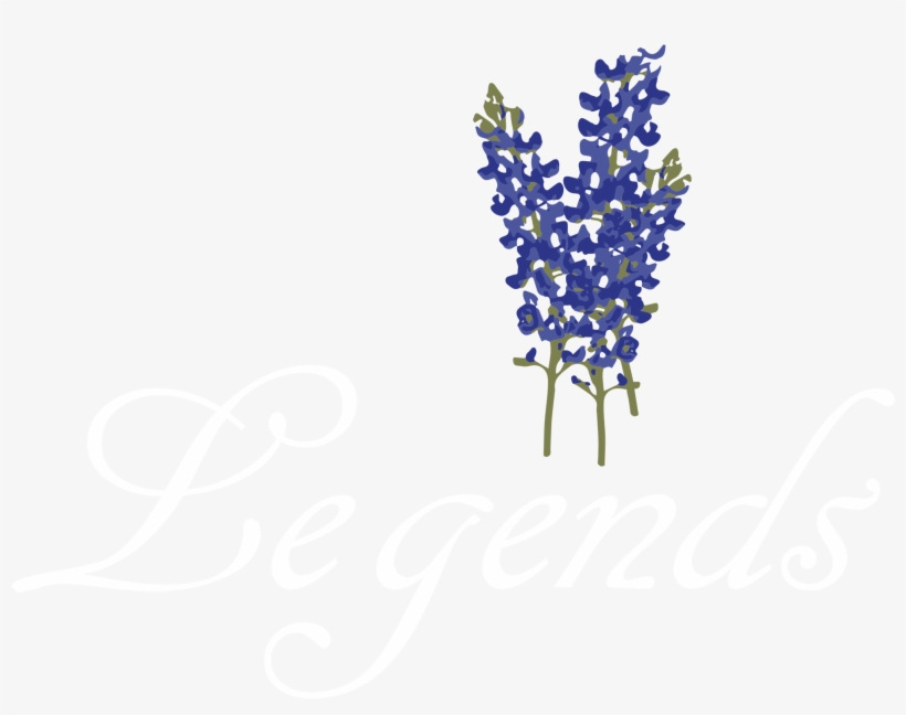 Site Image - Bluebonnet Flower Png Transparent PNG - 2015x1500 - Free ...
