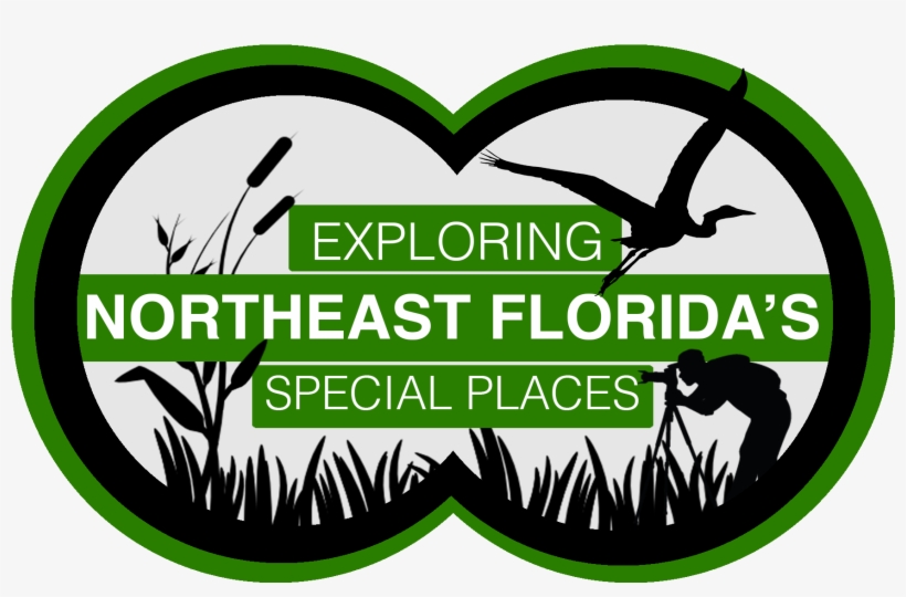 00 - Graphic Design Transparent PNG - 1950x1560 - Free Download on NicePNG