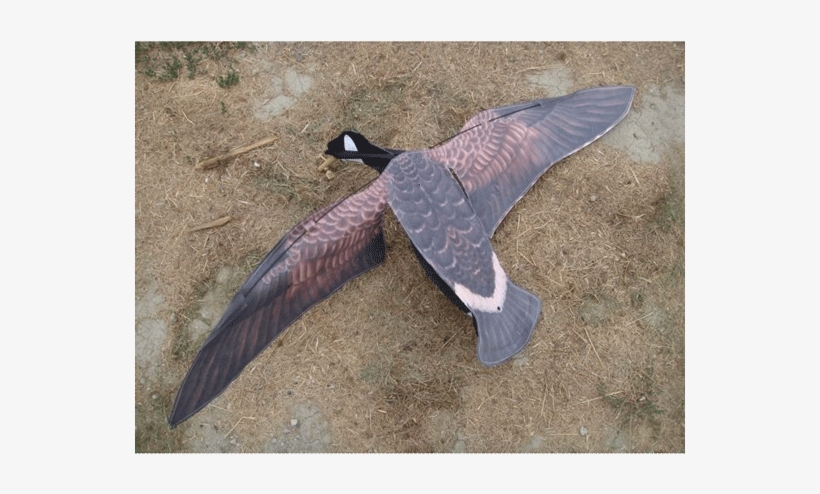 Sillosocks Canada Goose Flapper - Sillosocks Flapping Goose Decoys ...
