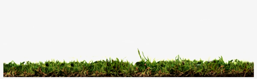 Grassland Lawn Transparent - Green Transparent PNG - 1024x533 - Free ...
