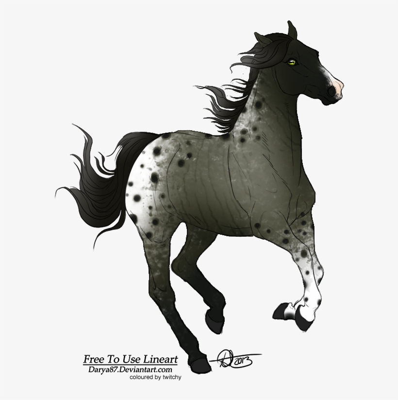 Howrse Transparent PNG - 665x825 - Free Download on NicePNG