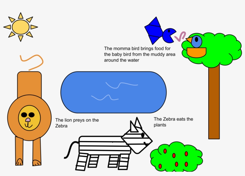 Ib Biology Figure Project - Example Of Community Transparent PNG ...