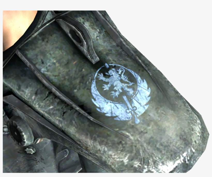 Brotherhood Of Steel Lyons Pride