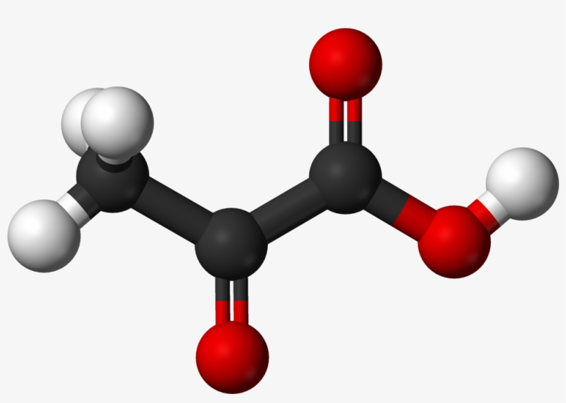Archivo - Pyruvic Ac - Pyruvic Acid Transparent PNG - 1100x764 - Free ...