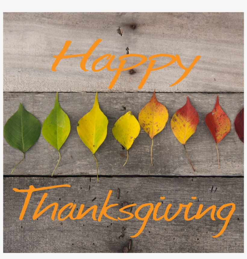 Happy Thanksgiving - Technology Transparent PNG - 3179x2292 - Free ...