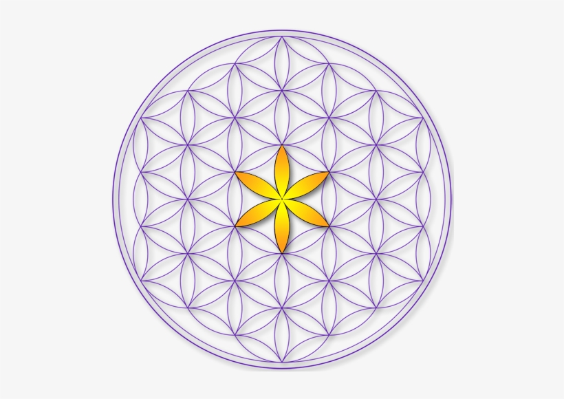 University Of Metaphysical Sciences Logo Transparent PNG - 500x500 ...