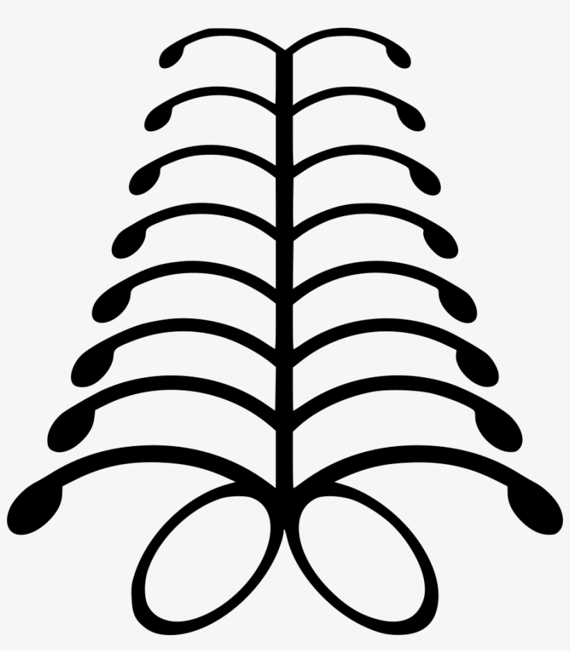 Aya Defiance Fern Comments - Clip Art Transparent PNG - 896x981 - Free ...