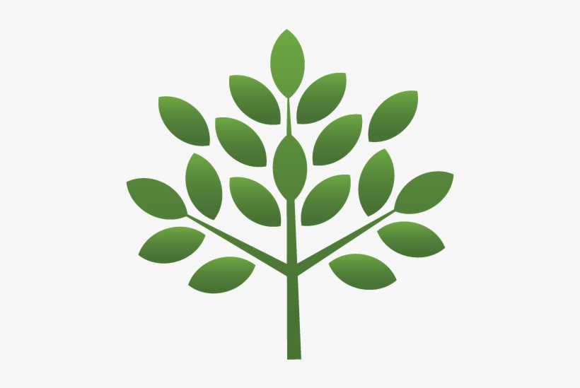 Green Gradient Tree - Circle Transparent PNG - 500x500 - Free Download ...