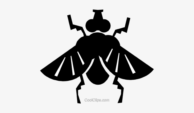 House Fly Royalty Free Vector Clip Art Illustration - Amphibians ...