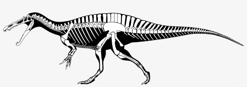 The Amusingly-named Irritator From South America Further - Suchomimus ...