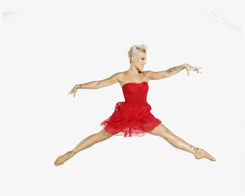 Pink Singer Png Transparent File - P Nk Transparent PNG - 1024x770 ...