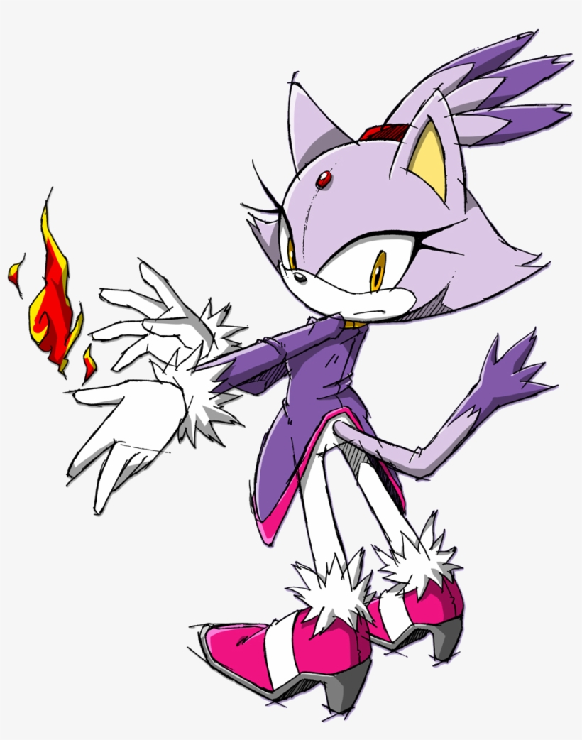 Blaze The Cat - Blaze The Cat Png Transparent PNG - 982x1200 - Free ...