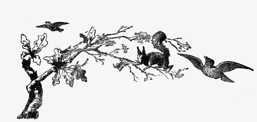 Digital Stamp Design - Design Transparent PNG - 1600x751 - Free ...