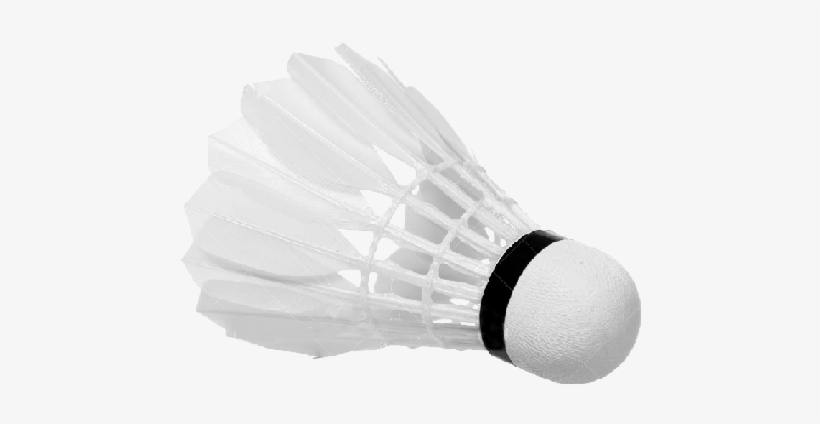 Badminton Transparent PNG - 634x595 - Free Download on NicePNG