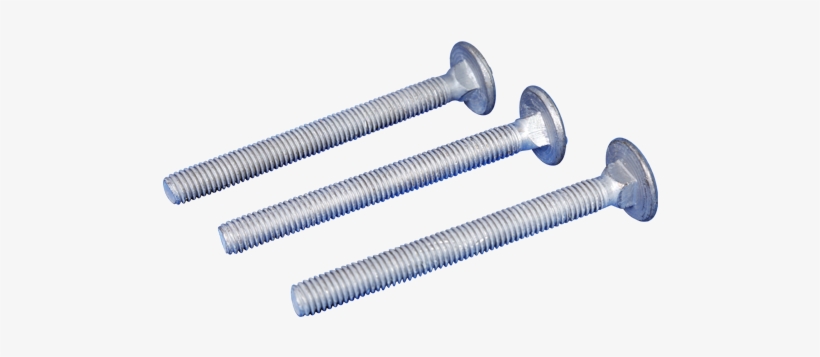 Carriege Bolt - Bellows Transparent PNG - 500x500 - Free Download on ...