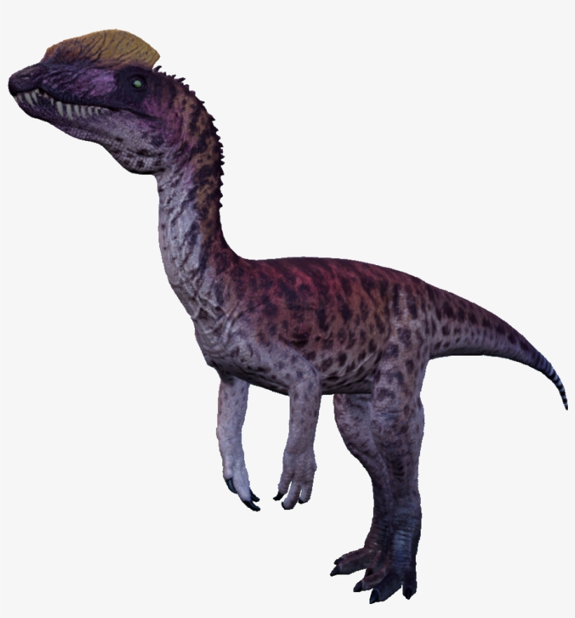 Diloplhosaurus Infobox - Dilophosaurus The Isle Transparent PNG ...