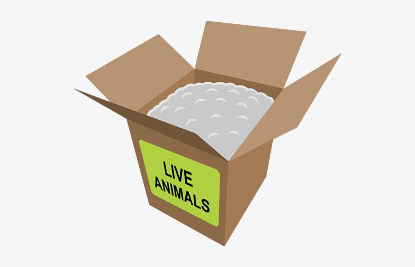 Box Inside Box Transparent PNG - 600x600 - Free Download on NicePNG