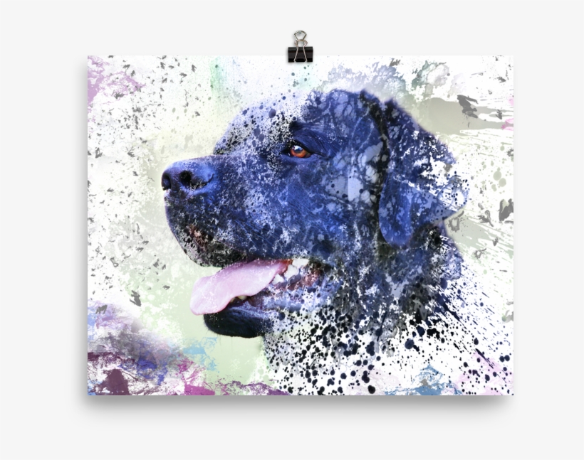 Black Lab Abstract Painting Labrador Retriever Dog - Labrador Retriever ...