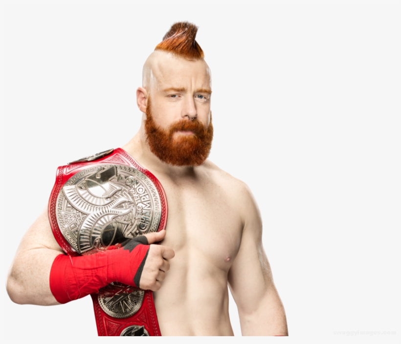 Download Sheamus Wwe World Tag Team Champion - Cesaro And Sheamus Tag ...