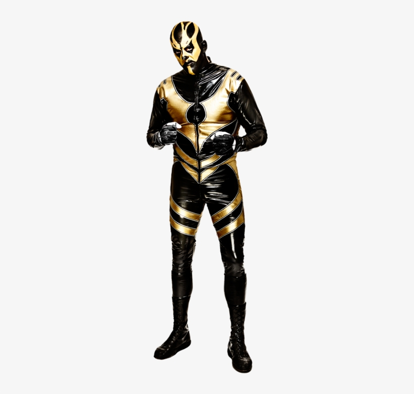 Wwe Tag Team Champion - Goldust Wwe Transparent PNG - 320x728 - Free ...