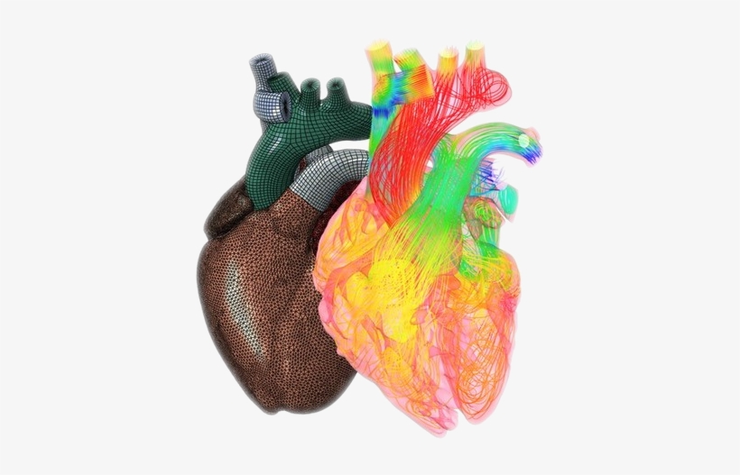 A Research Initiative To Revolutionize Cardiovascular - Application Of ...