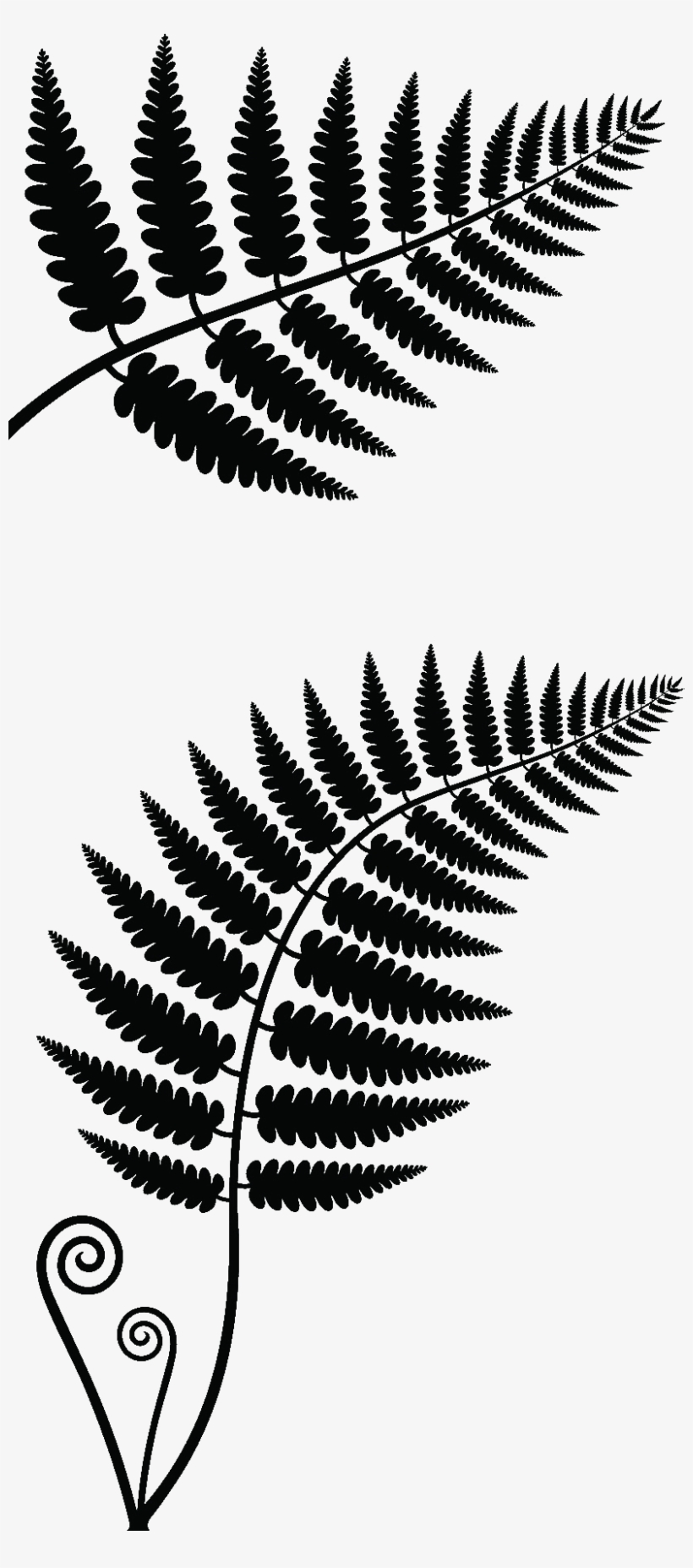 Vector Graphics Transparent PNG - 821x1818 - Free Download on NicePNG