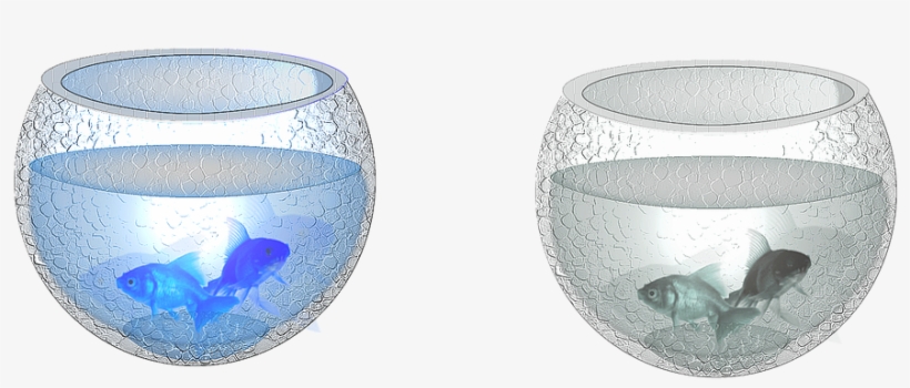 Stock.xchng Transparent PNG - 1280x453 - Free Download on NicePNG