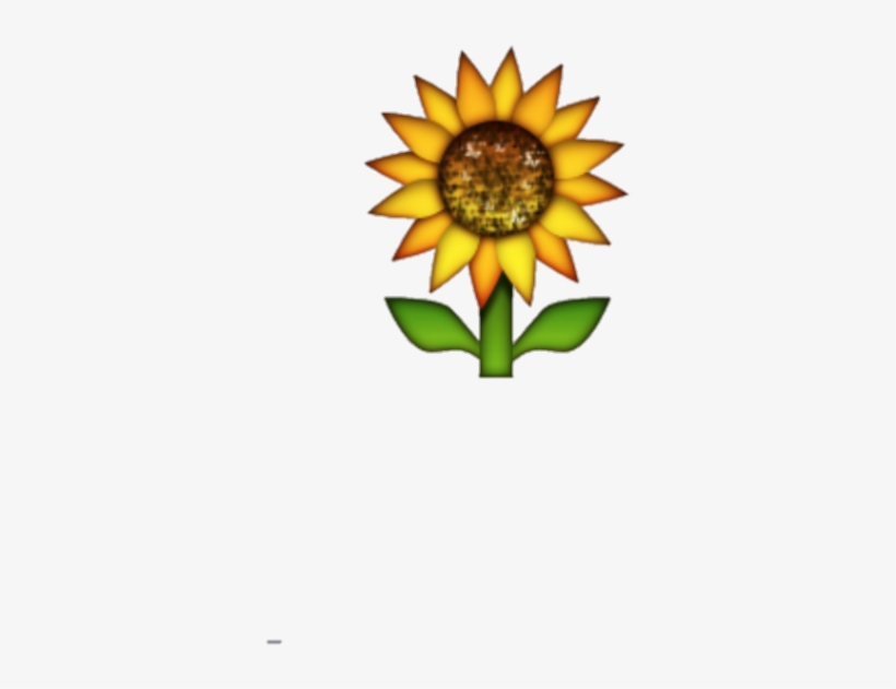 Download Transparent Background Sunflower Emoji - HD Transparent PNG ...