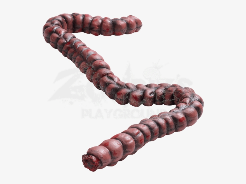 Bloody Zombie Intestines Transparent PNG - 550x550 - Free Download on ...