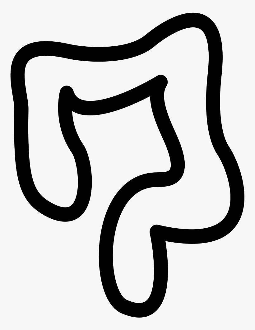 Large Intestines Outline Comments - Icône Intestin Noir Et Blanc ...