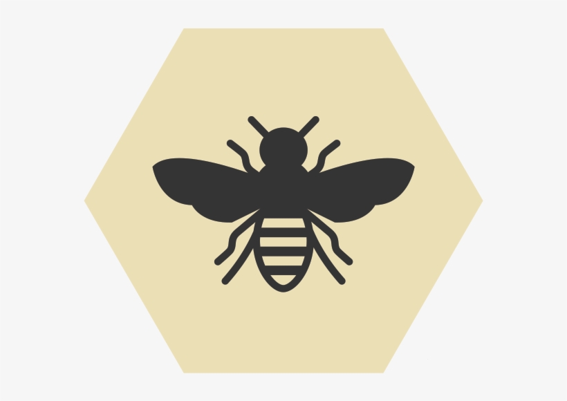 Bee Icon Png Transparent PNG - 705x598 - Free Download on NicePNG
