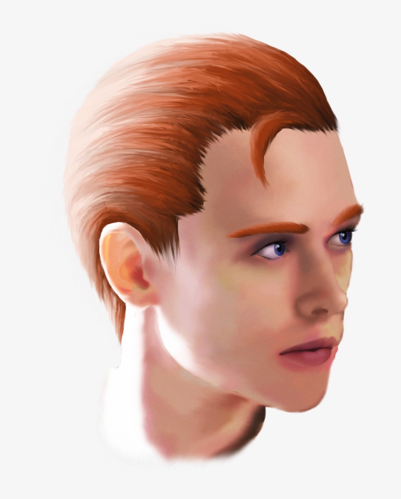 Shane Jager - Red Hair Transparent PNG - 764x983 - Free Download on NicePNG