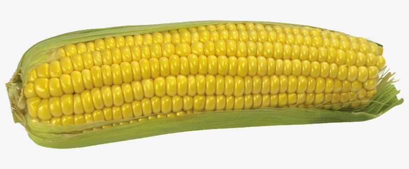 Corn Png Image Without Background - Кукурудза Кліпарт Transparent PNG ...