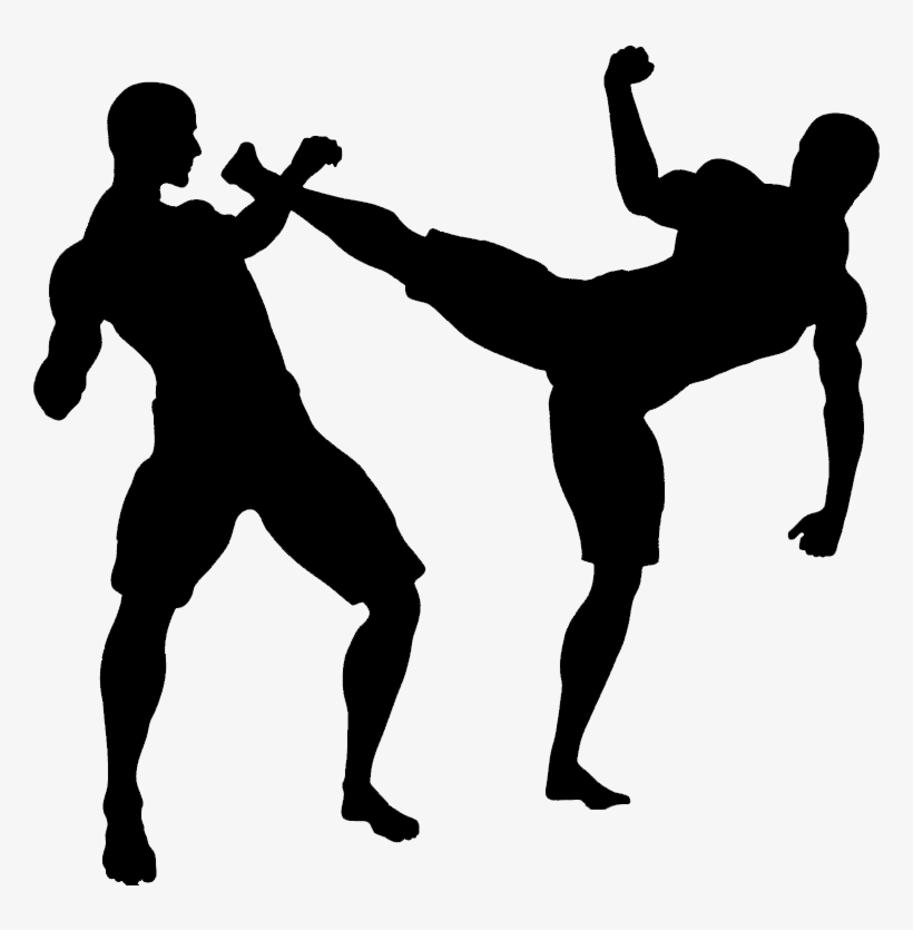 Mixed - Kung Fu Fight Steps Transparent PNG - 760x755 - Free Download ...