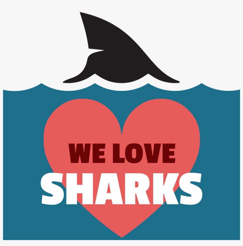 Sharks Logo Png Transparent PNG - 3530x3430 - Free Download on NicePNG