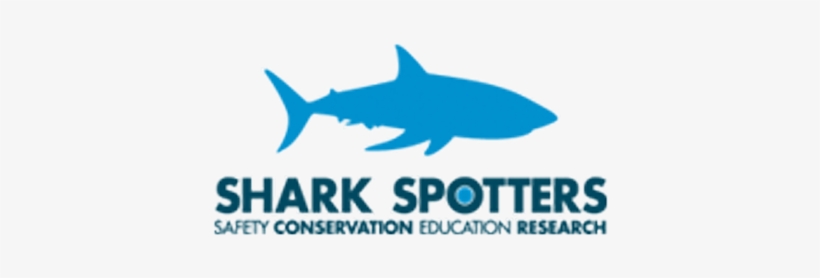 Shark Spotters Logo Transparent PNG - 400x400 - Free Download on NicePNG