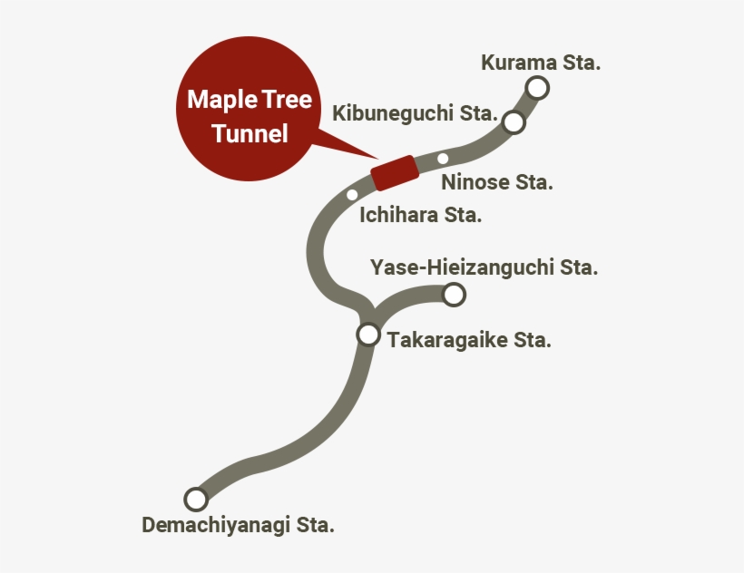 Maple Tree Tunnel Map - Tunnel Transparent PNG - 505x552 - Free ...