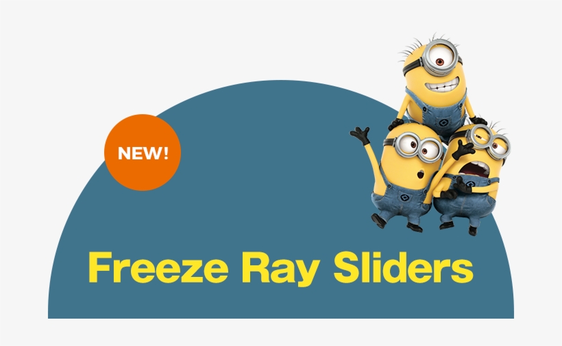 Despicable Me Freeze Ray