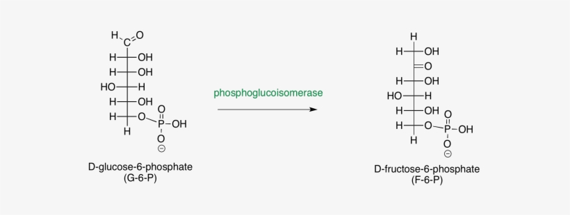 Structure Of Fructose 6 Phosphate