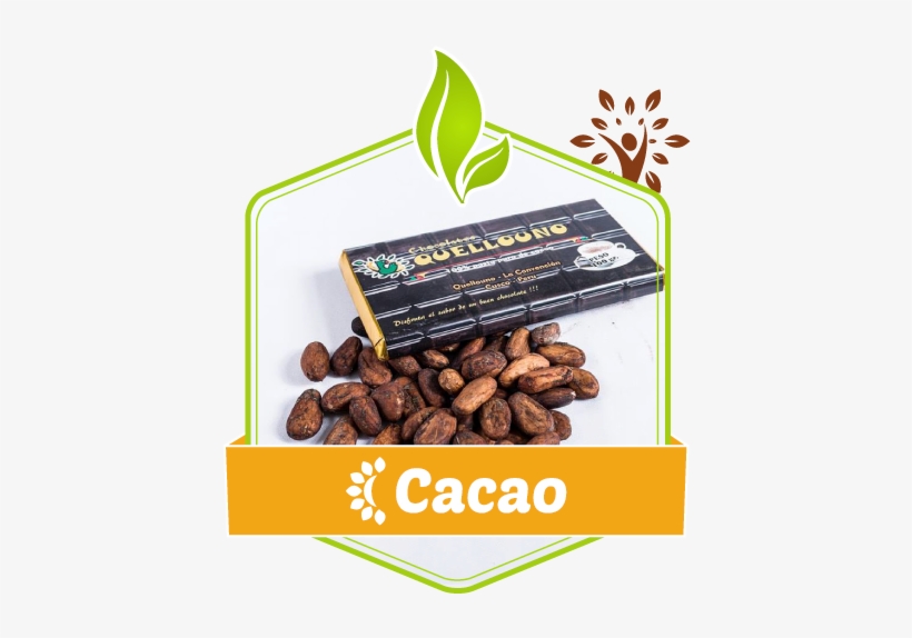 Peruvian Cacao Is A Product Originative From Our Amazon, - Chocolate ...