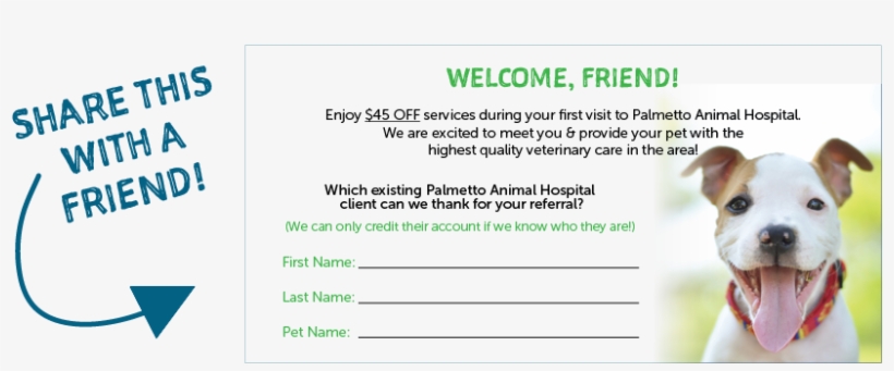 Refer A Friend Coupon - Refer A Friend Coupon Veterninary Transparent ...