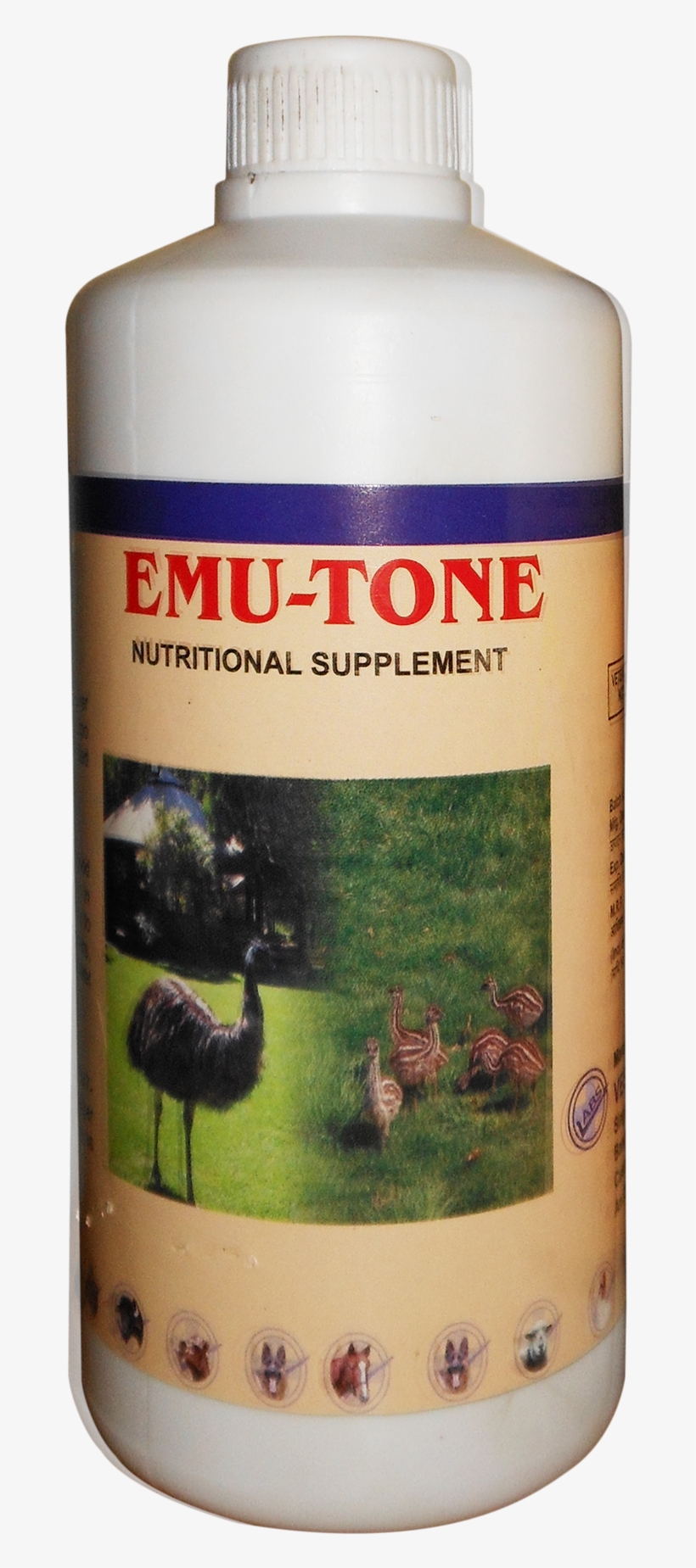 Emu Transparent PNG - 728x1866 - Free Download on NicePNG