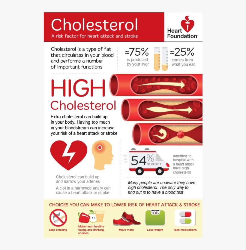 Cholesterol Patient Education Transparent PNG - 750x750 - Free Download ...