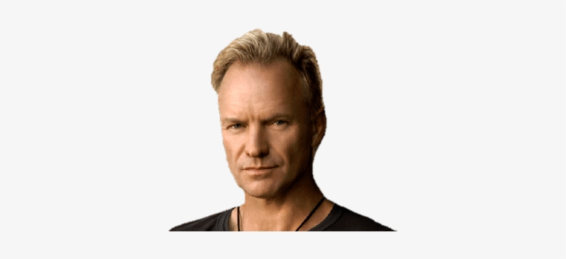 Download Sting Face Png - Sting - HD Transparent PNG - NicePNG.com
