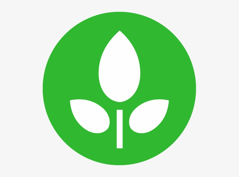 Free High Quality Plant Icon - Eve Wall E Plant Transparent PNG ...