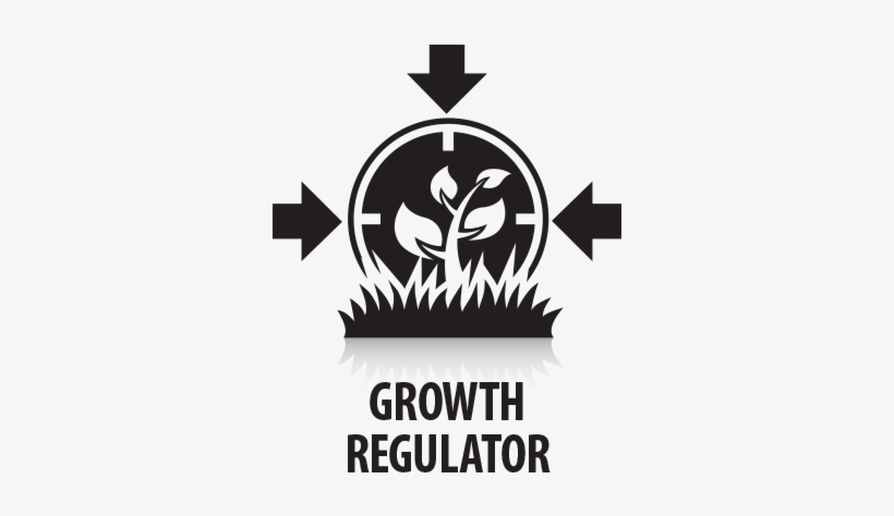 Growth-regulator - Plant Growth Regulator Icon Transparent PNG ...