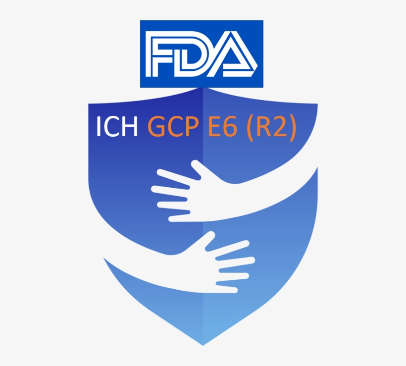 Fda Adopts The Ich Gcp E6 - Logo Transparent PNG - 541x697 - Free Download on NicePNG